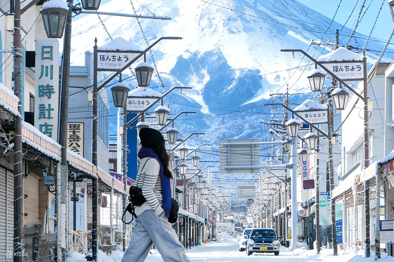 Mount Fuji's most beautiful train experience | Asama Park + Nikawa ...